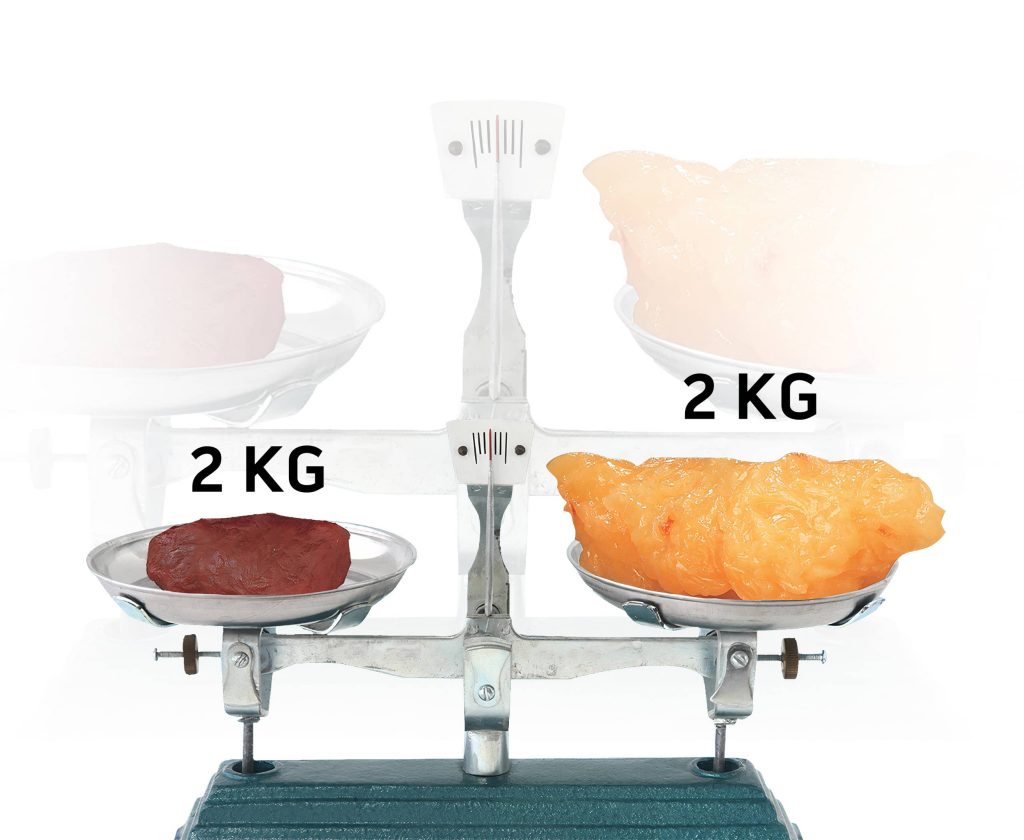 ripped_lps – muscletech